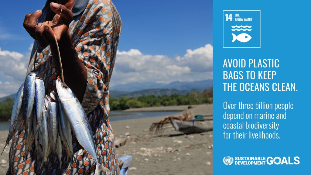 Goal 14: Life Below Water - ESG Mowilex